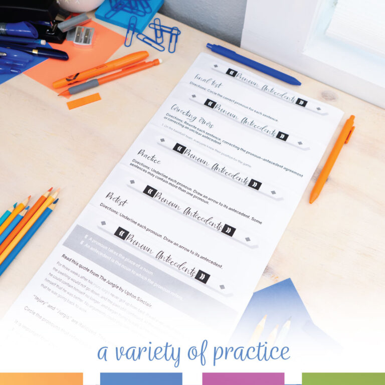 Pronoun Antecedent Errors Activities | Writing Errors with Pronouns ...